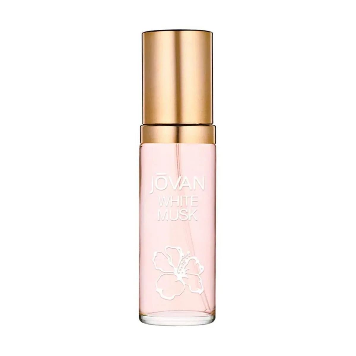 Jovan White Musk Edc Perfume 59Ml – Perfume Online
